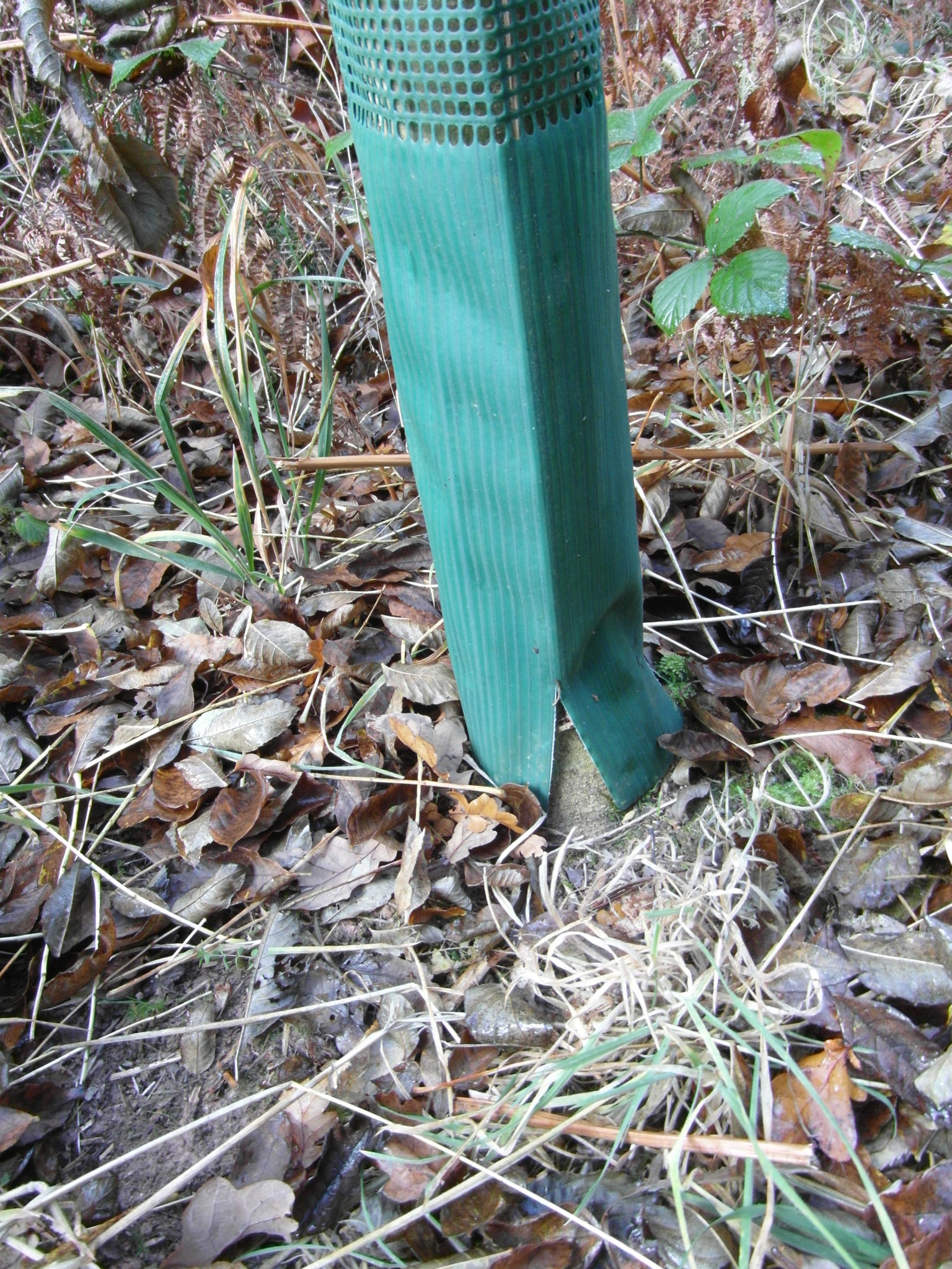 The Balance 'E' Type Shelter