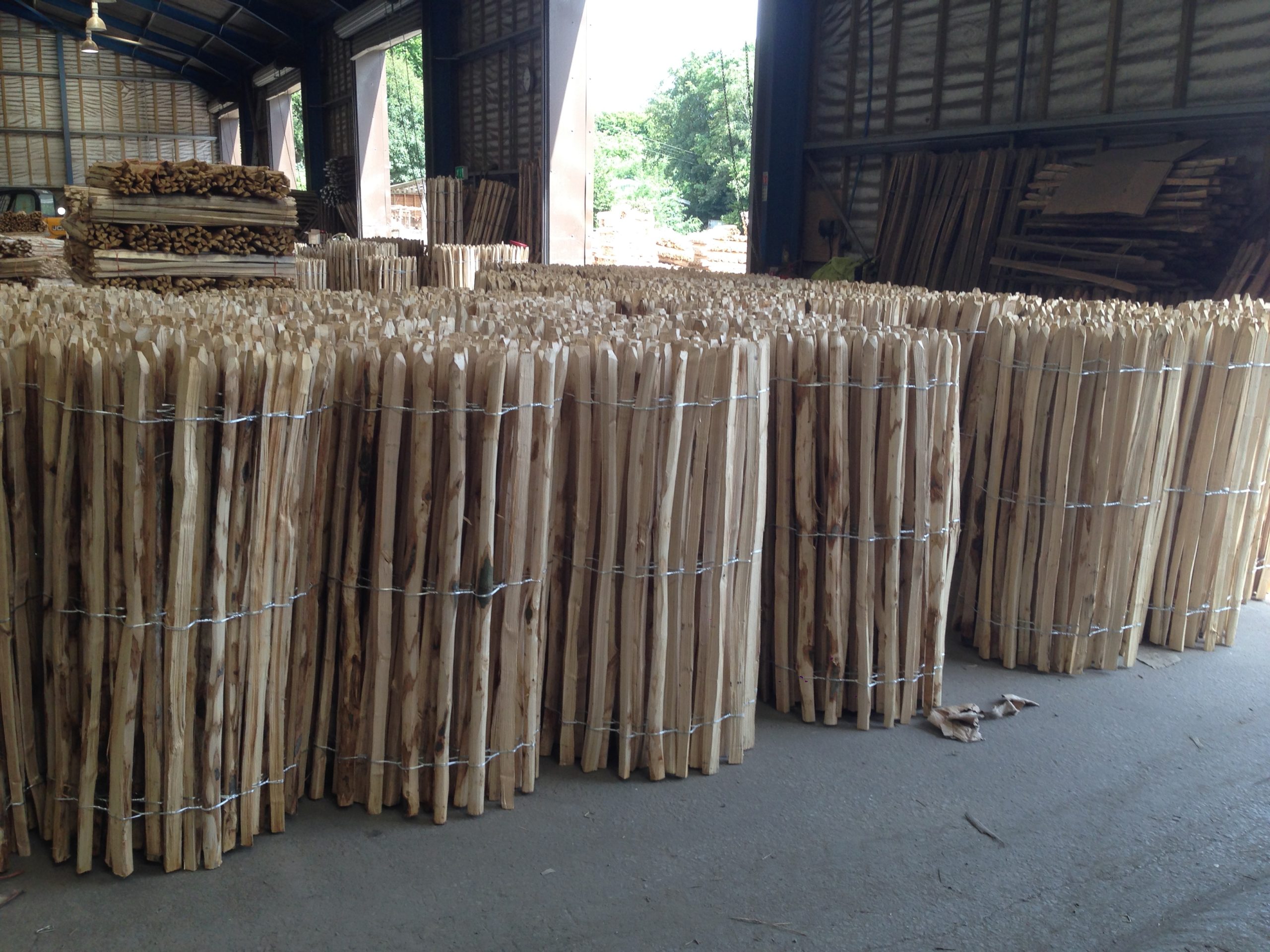 Chestnut Pale Fencing