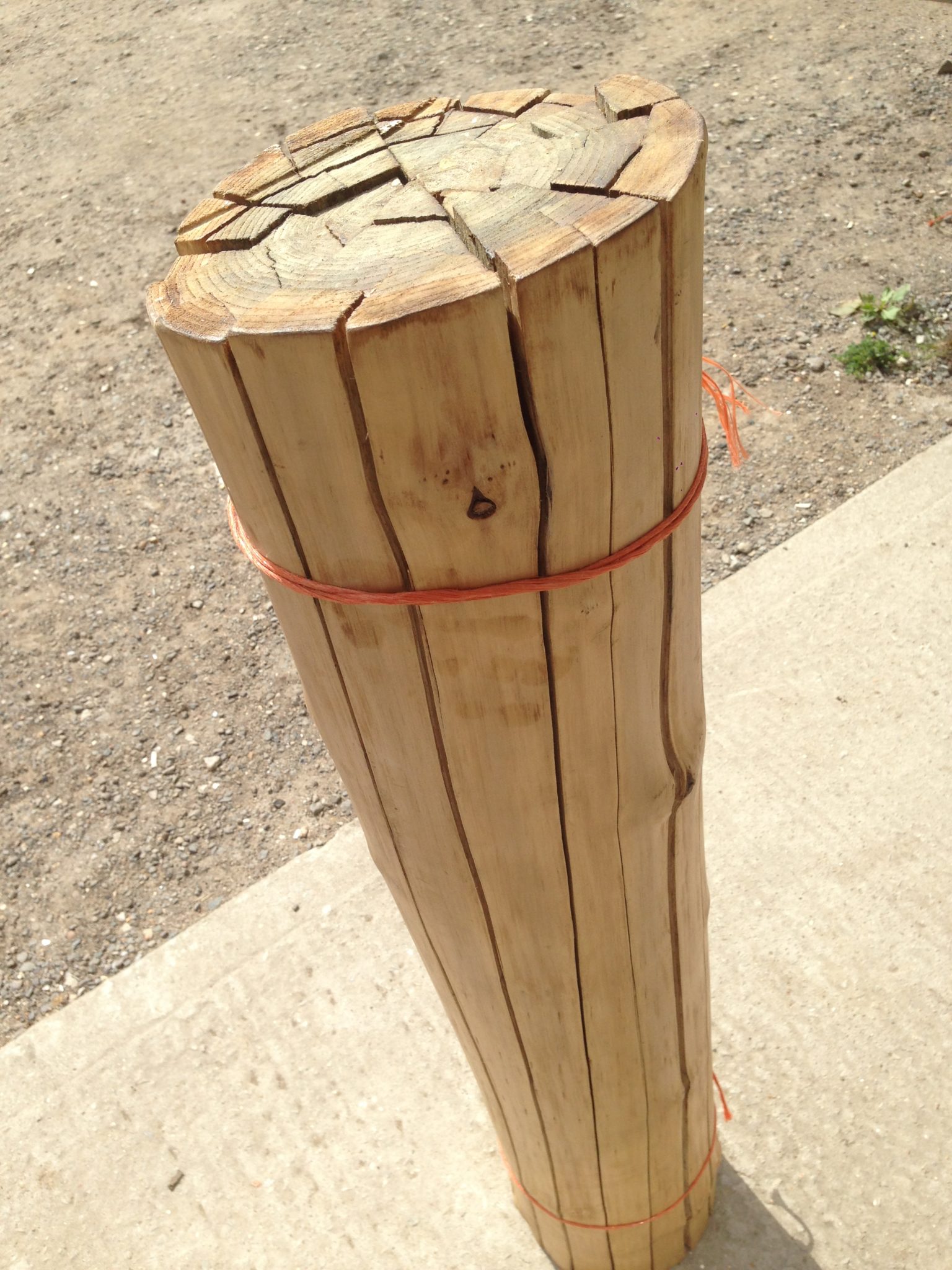 Chestnut Pale Fencing