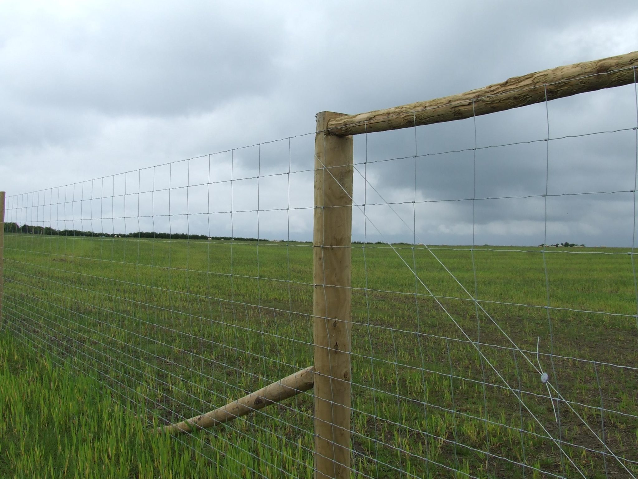 Tornado Deer Fencing - Farm Forestry