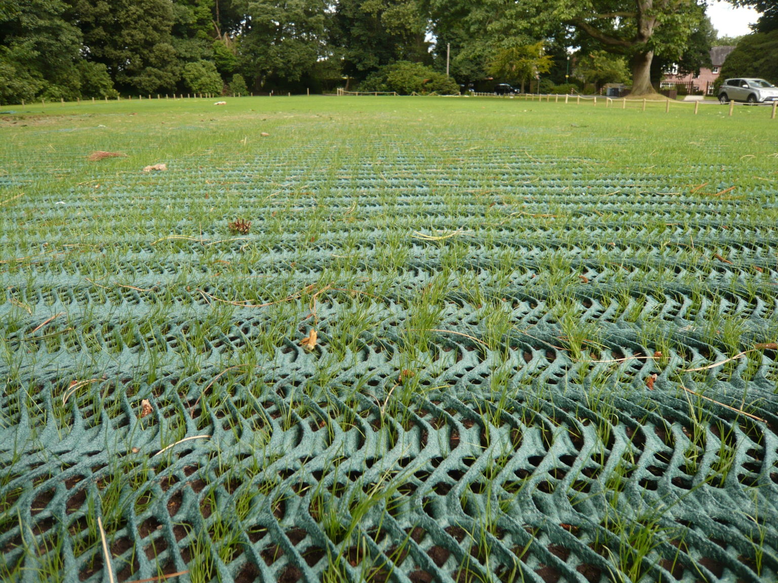 Grass Reinforcement / Parking Mesh - Medium GP Flex 1400 - 2m x 10m ...