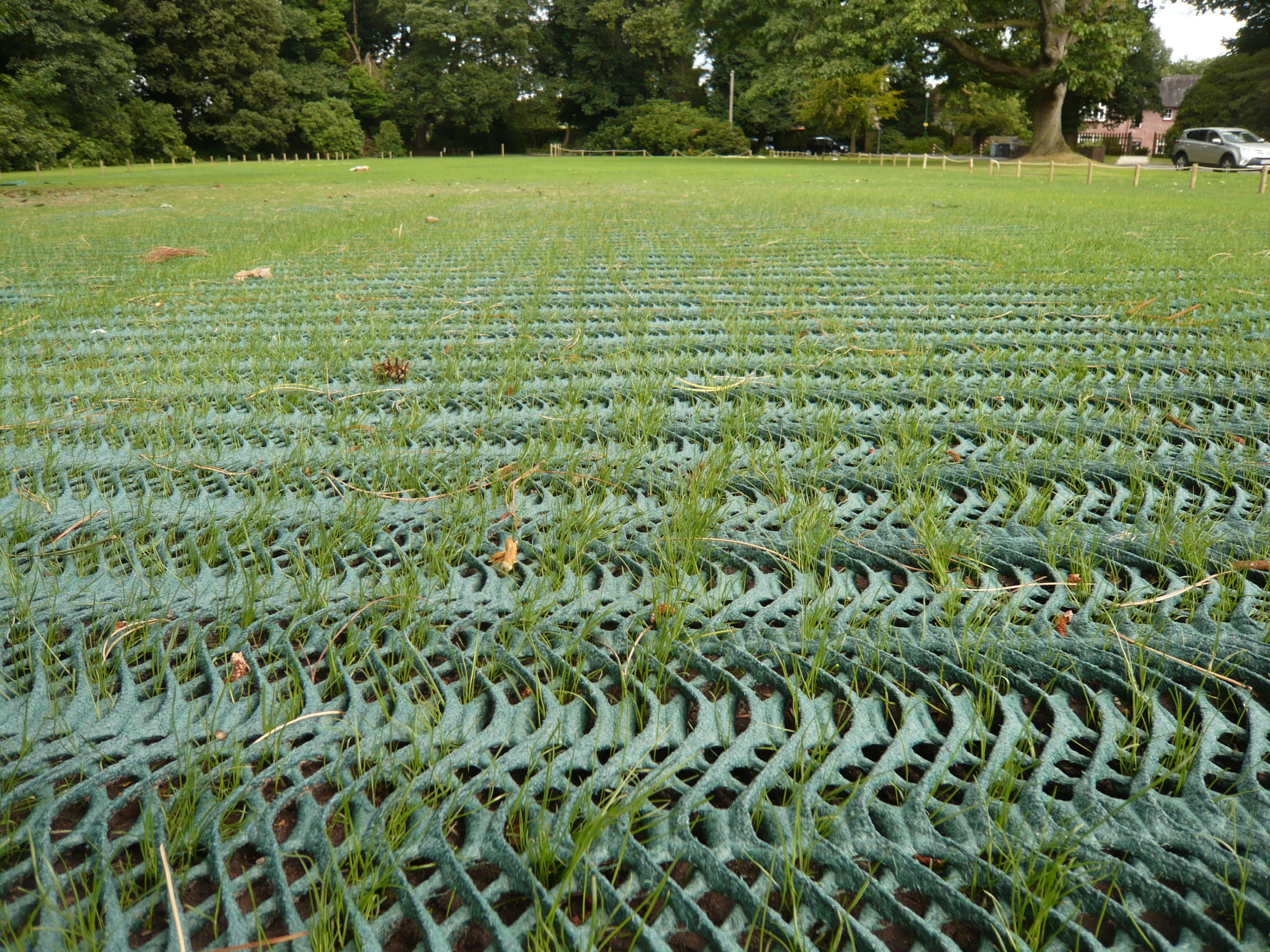 Grass Reinforcement / Parking Mesh - PREMIUM GP Flex 1800 - 2m x 20m ...
