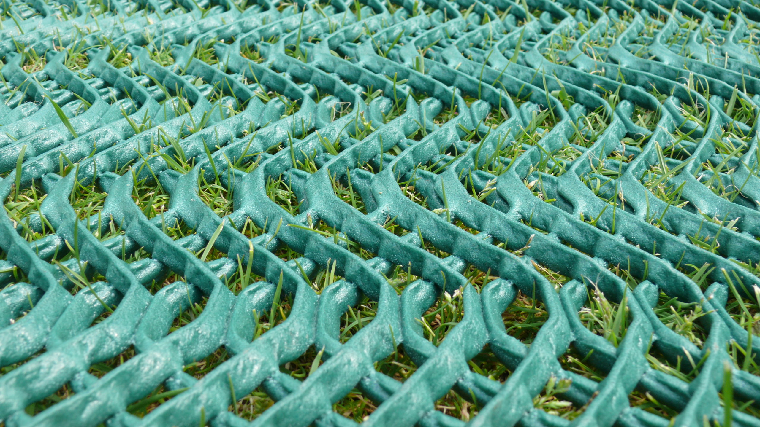 Grass Reinforcement / Parking Mesh - PREMIUM GP Flex 1800 - 1m x 10m ...