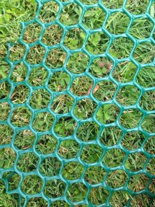 Grass Reinforcement Mesh - 2m x 30m