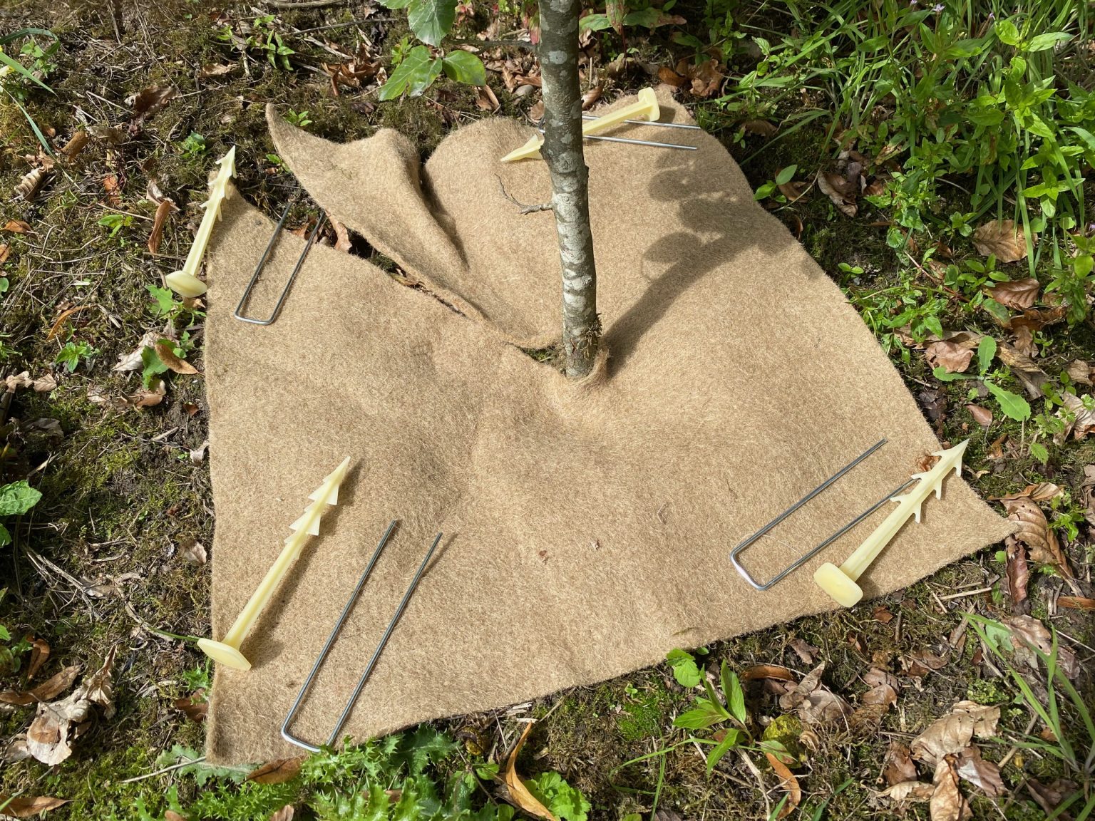 100% Biomat (British Wool) 50 x 50cm - Farm Forestry