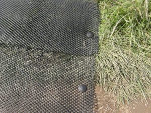 Premium Ground Stabilisation Mesh 2m x 25m