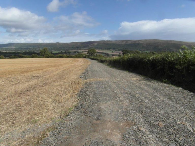 Premium Ground Stabilisation Mesh 2m x 25m