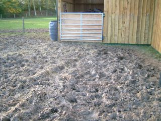 Premium Ground Stabilisation Mesh 2m x 25m