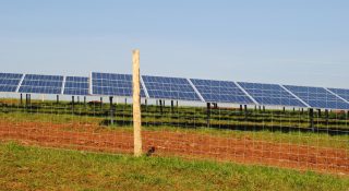 Solar Farm Fencing - 100m Roll