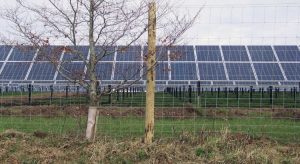 Solar Farm Fencing - 100m Roll