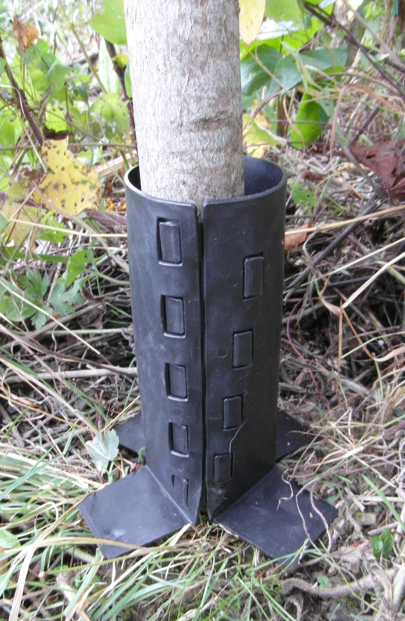 Buy Tree Shelters & Guards Online - Page 3 of 3 - Farm Forestry