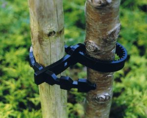 Super Soft Tree Ties
