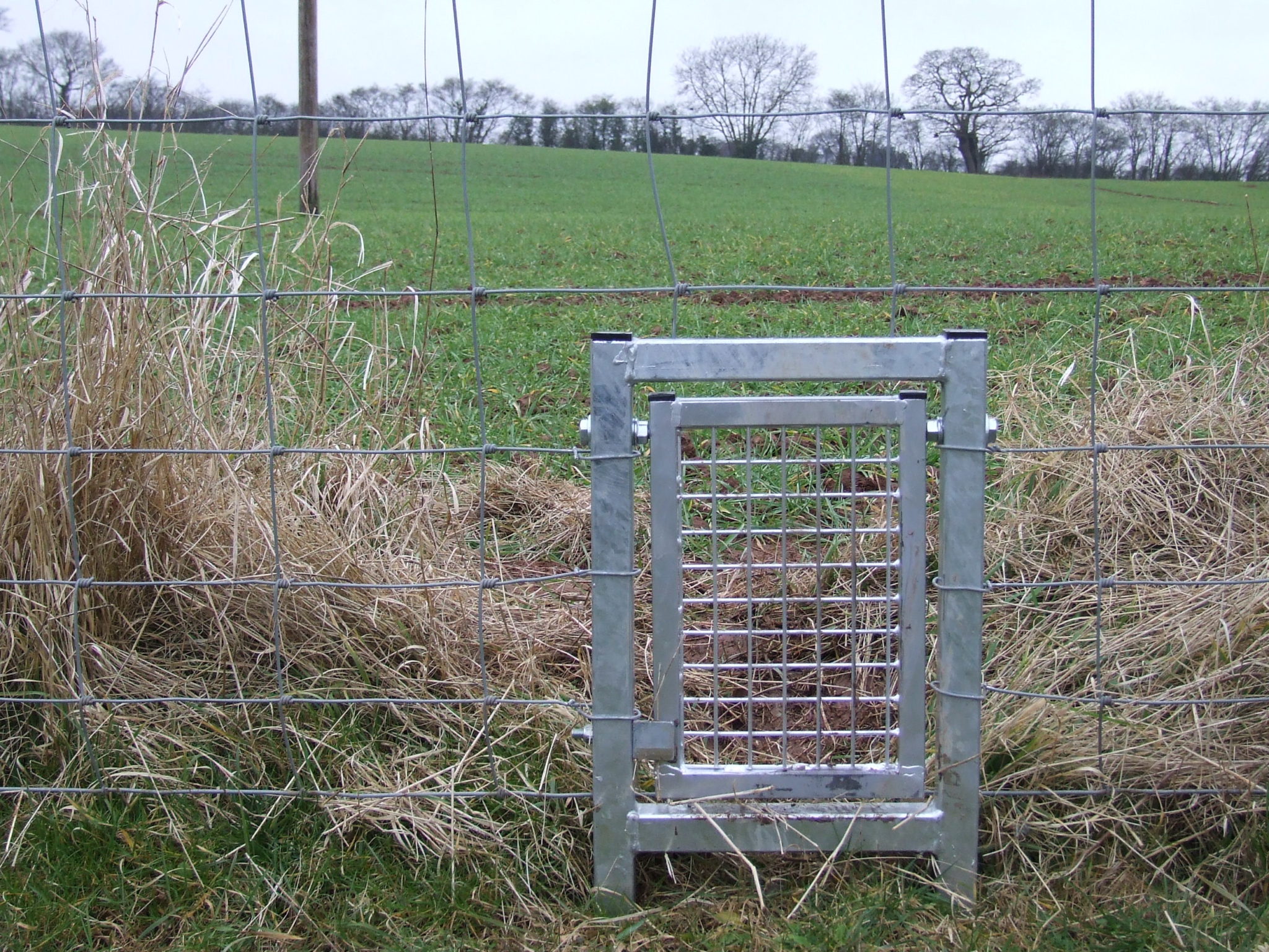 Badger Gate