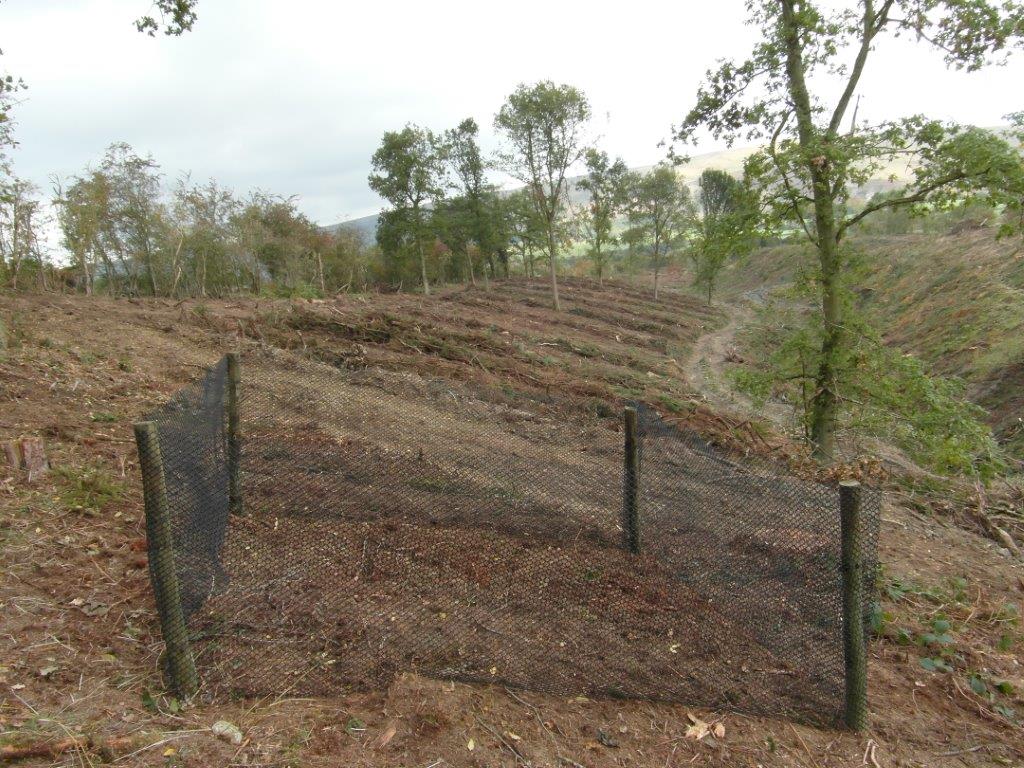 Treeguard Mesh On The Roll 1.2m x 25m