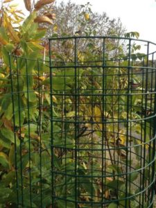 Preformed Weld Mesh Guards 300mm Diam