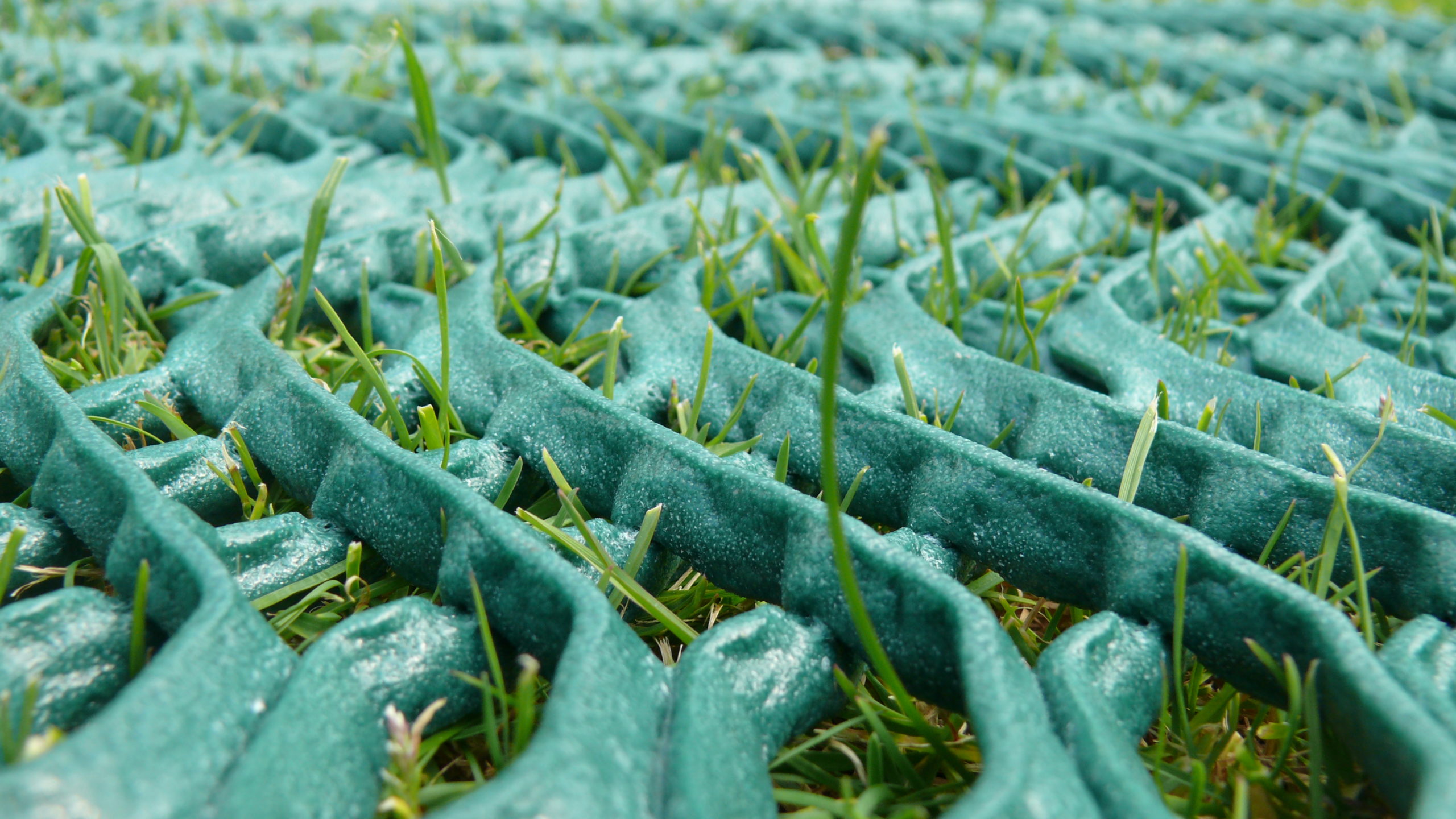 Grass Reinforcement / Parking Mesh - Light - GP Flex 1000 - 1m x 10m ...